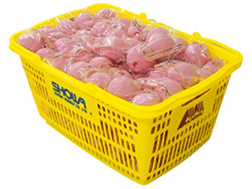 Lucent(ルーセント) アカエムボールカゴ入り(公認規格球) ピーチレッド 10ダース(120個) M-30130 ピーチレッド