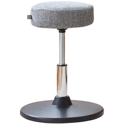 MIZUNO(ミズノ) フィットネス 健康用具 ル・プリエスクワット バルン 椅子 ヘルシー インテリア 太もも前側/お尻/太もも後ろ側 グレー