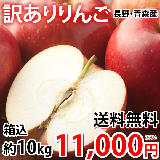 りんご 訳あり 10kg 箱込 (内容量9kg+不良果補償分500g) 送料無料 リンゴ 長野・青森県産 サンふじ つがる ジョナゴールドの通販はau PAY マーケット - Foodys ...