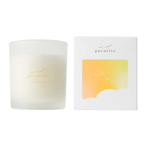 【生活の木 pucarito フレグランスキャンドル hodokeru 160g】の通販はau PAY マーケット - ライフナビ | au PAY マーケット－通販サイト