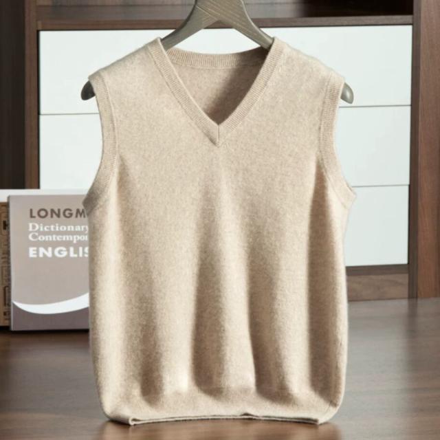カシミヤ 100％ ベスト メンズ Vネック S〜3L プレゼント ニット カシミヤニット トップス カシミヤ100% カシミア 男性 父の日 彼氏 夫 学生 ビジネス ギフト 秋冬 送料無料
