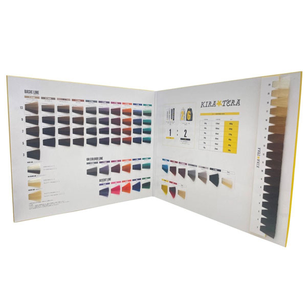 送料無料  b-ex キラテラカラー カラーチャート 2024