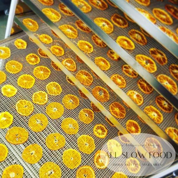 一日分の高知乾燥 果物ミックス ボックス （20g×7袋入り）4箱