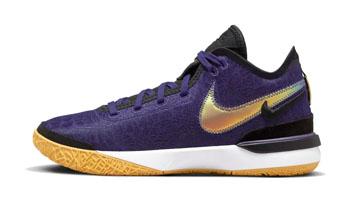バスケットシューズ バッシュ   ナイキ Nike Zoom LeBron NXXT GEN　LA Purple/Black/