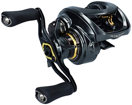 ダイワ(DAIWA) ベイトリール スティーズ CT SV TW 700H 2019モデル(中古品)