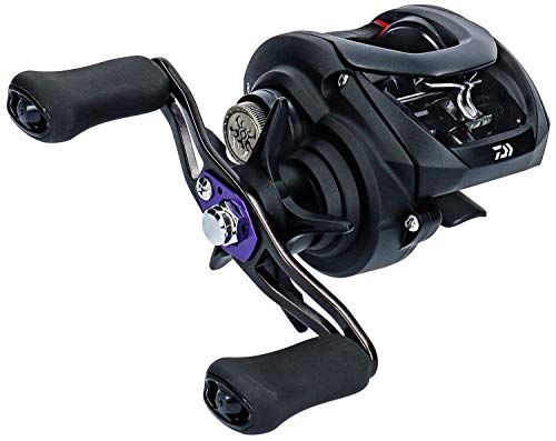 ダイワ(DAIWA) ベイトリール タトゥーラ TW 100XH 2019モデル(中古品)