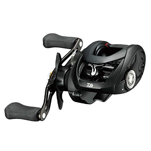 ダイワ(DAIWA) ベイトリール 19 タトゥーラ TW 100H (2019モデル)（中古品）