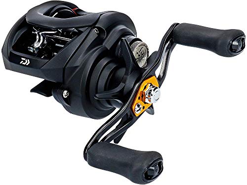 ダイワ(DAIWA) ベイトリール タトゥーラ TW 100HL 2019モデル(中古品)