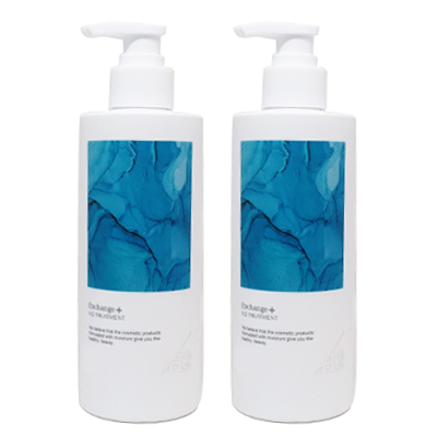 ● 【2本セット】 ストリ エクスチェンジ プラス H2 トリートメント 300ml サロン専売品 美容室専売 水素 艶 髪 ヘアケア ポンプ STRI パッケージ リニューアル