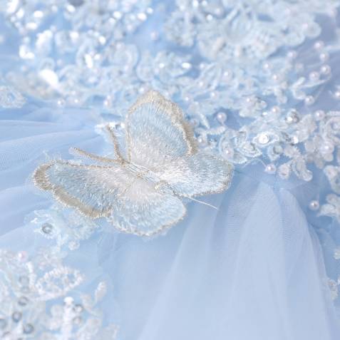 ロングドレス Aライン 花柄 刺繍 レース バタフライモチーフ ライト