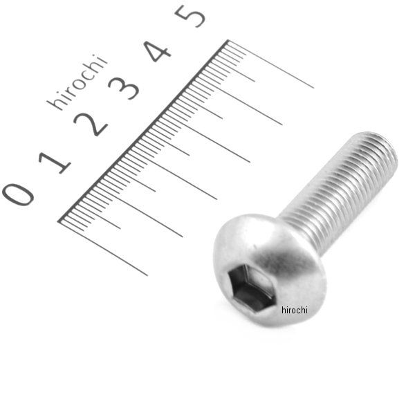 ヤマハ純正 スクリュー パンヘッド(22U) 90157-10043 WO店の通販はau PAY マーケット - ヒロチー商事 | au ...