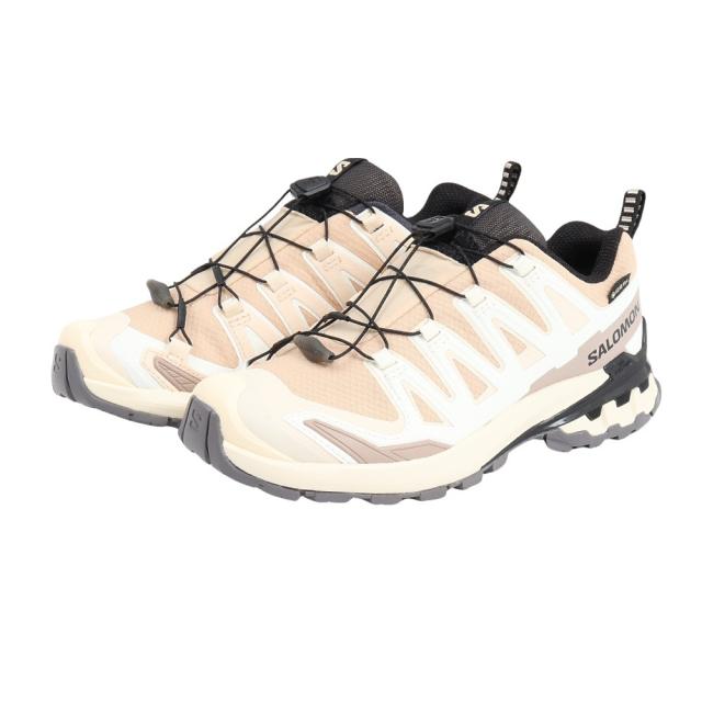 サロモン(SALOMON)トレイルランニングシューズ 登山靴 XA PRO 3D V9 GORE-TEX L47817600 …