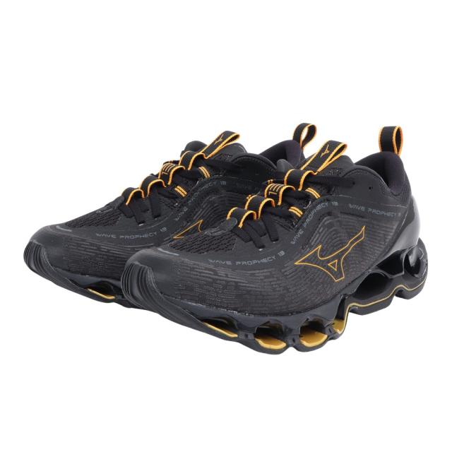 ミズノ(MIZUNO)ランニングシューズ ジョギングシューズ ウエーブプロフェシー13 J1GC245132(Men’s、La…