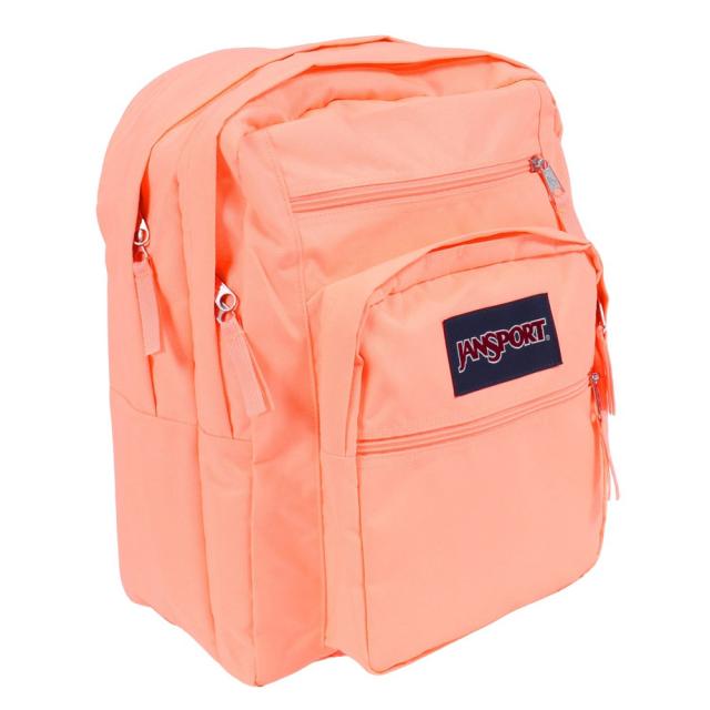 ジャンスポーツ(JANSPORT)バックパック ビッグスチューデント JS0A47JK Z72(Men’s、Lady’s)