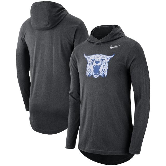 ナイキ メンズ Tシャツ 長袖 ロンT 