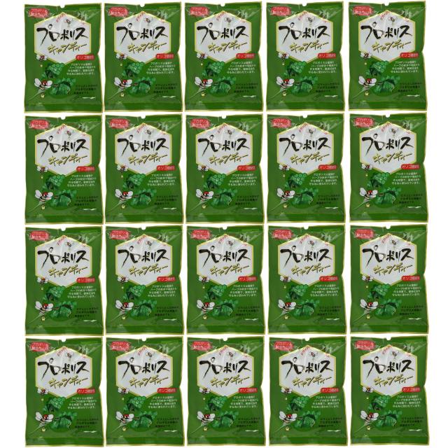 森川健康堂 プロポリス キャンディー 100g×20袋セット 健康 のど飴 送料無料