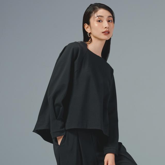 ポンチジャージー プルオーバー シャツ ブラウス プルオーバー 102003