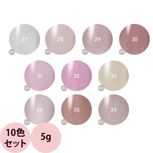 レイジェル マグネット カラージェル 新色10色セット 各5g [ ジェルネイル カラージェル ネイリスト サロン おすすめ 人気 ] Raygel