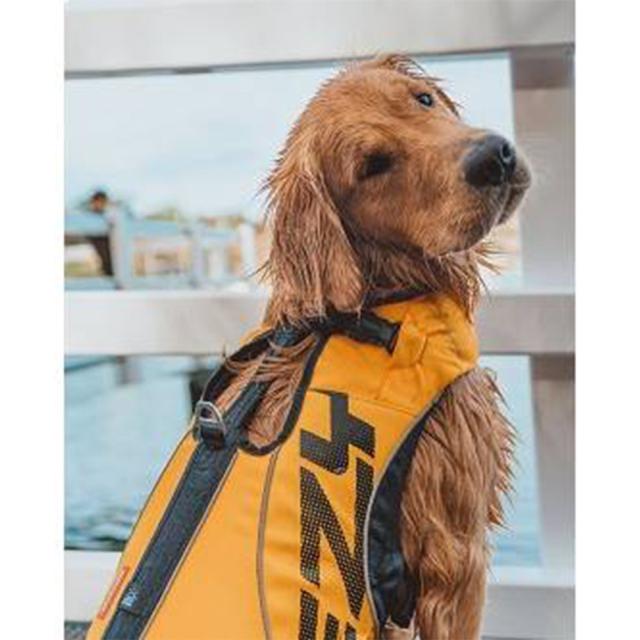 EZYDOG DFDブースト XL ( レッド イエロー )