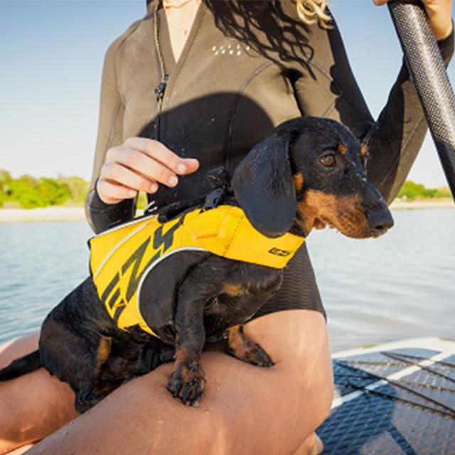 EZYDOG DFDブースト XL ( レッド イエロー )