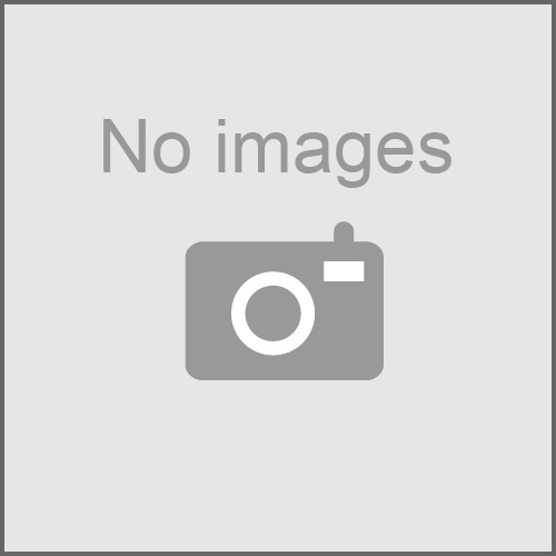 ダイキン　脱臭フィルタ枠無2枚入　【品番：0970091】