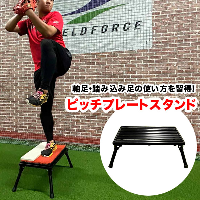 フィールドフォース ピッチプレートスタンド 投球練習 投手 ピッチャー用 ピッチプレート(別売り)専用 折りたたみ FPP-1046ST