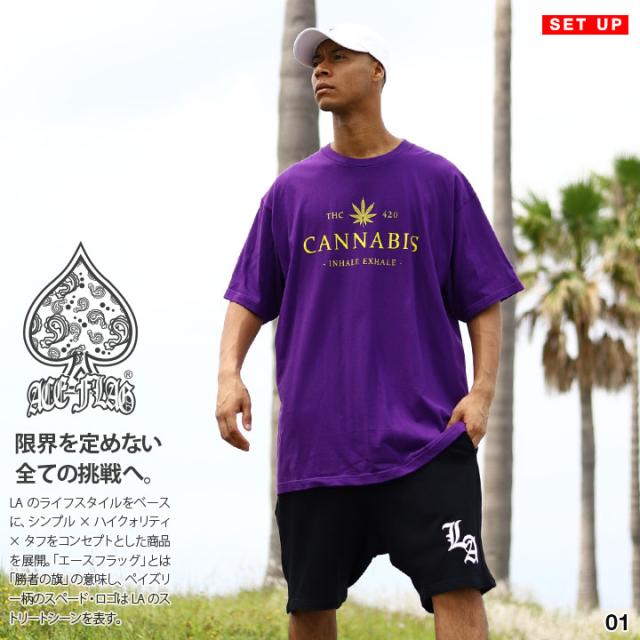 ACE FLAG 上下セット 半袖 ブランド Tシャツ ハーフパンツ メンズ 春夏用 全2色 大きいサイズ エースフラッグ セットアップ 大麻 マリファナ ヘンプビッグシルエット b系 ヒップホップ ファッション ダンス ストリート系 ハイ 新作 AF-SE-TS-164