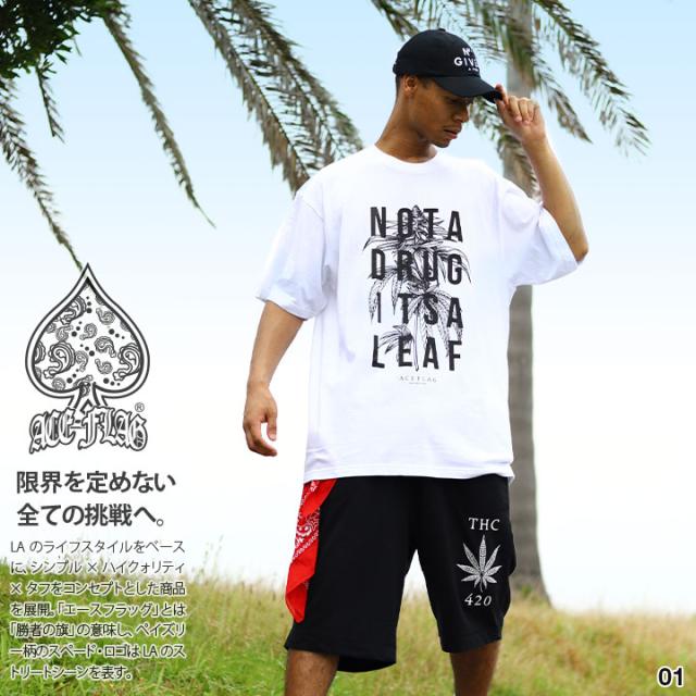 ACE FLAG 上下セット 半袖 ブランド Tシャツ ハーフパンツ メンズ 春夏用 全2色 大きいサイズ エースフラッグ セットアップ 裏パイル バッズ 大麻 マリファナ ヘンプ ロゴ ビッグシルエット b系 ヒップホップ ストリート系 ハイ 新作 AF-SE-TS-180