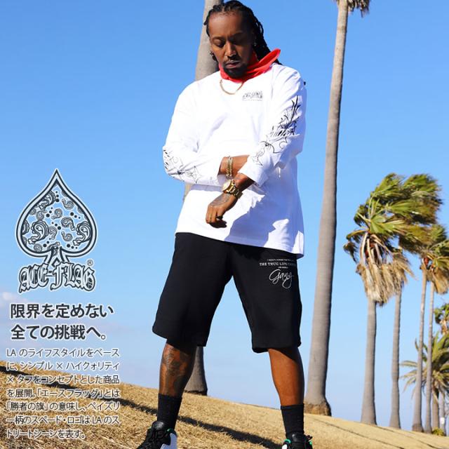 ACE FLAG セットアップ 長袖 Tシャツ ロンT ブランド スウェット ハーフパンツ メンズ 上下セット 春秋冬用 白 黒 大きいサイズ エースフラッグ Pinstripe ピンストライプ 袖ロゴ ビッグシルエット b系 ヒップホップ ファッション ストリート系 2025 新作 AF-SE-LT-137