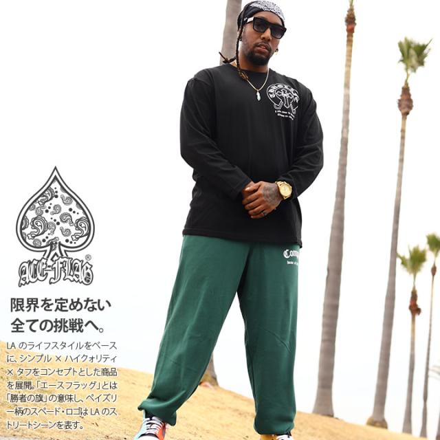 ACE FLAG 上下セット 長袖 ブランド スケボー メンズ 春秋冬用 黒 大きいサイズ エースフラッグ セットアップ ロンT スウェットパンツ 2Pac 馬蹄 ビッグシルエット 深緑 グリーン アメ車 b系 ヒップホップ ファッション ダンス ストリート系 ハイ 2025 新作 AF-SE-LT-144