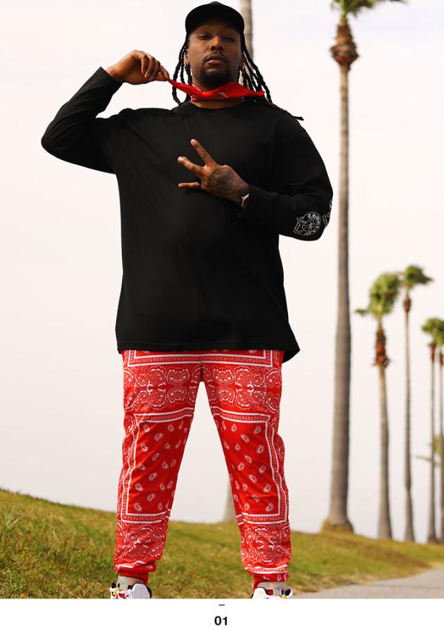 ACE FLAG 上下セット 長袖 ブランド Tシャツ ロンT ロングパンツ