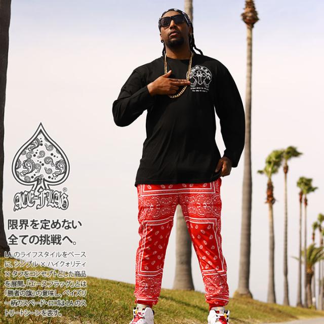 ACE FLAG 上下セット 長袖 ブランド Tシャツ ロンT ロングパンツ メンズ 春秋冬用 黒 大きいサイズ エースフラッグ セットアップ ジャージ 長ズボン おしゃれ 2Pac 馬蹄 ビッグシルエット b系 ヒップホップ ファッション ストリート系 ハイ 2025 新作 AF-SE-LT-159