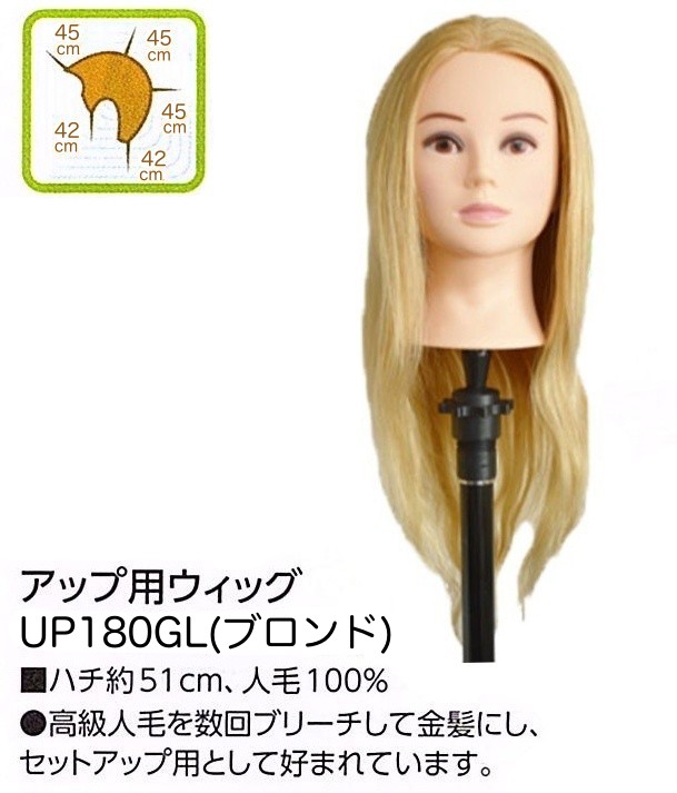アップ用ウィッグ UP180GL ブロンド 人毛100％ アップ カラー パーマ 基礎練習 カット 美容用品 サロン専売品 カット 練習 練習用 ウィッグ