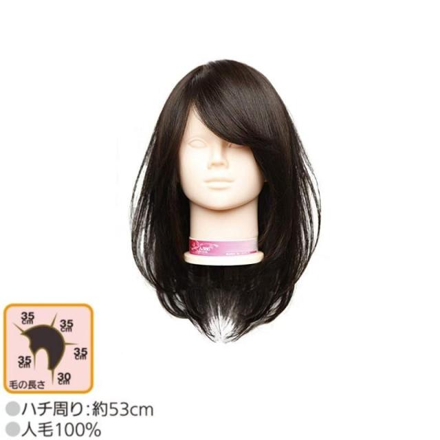 カットウィッグ 耳付きカットウィッグ A-386 (美容師 スタイリスト サロン カット パーマ ヘアカラー セット 編み込み アップ 練習)