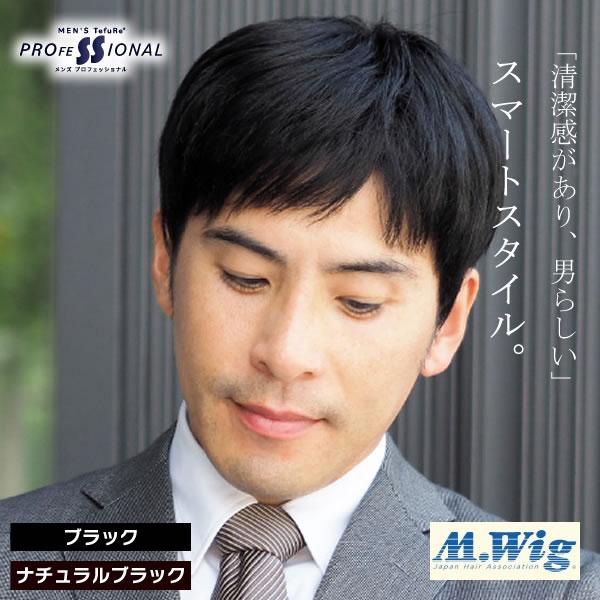 TefuRe 男性用ウィッグ スマートショート [DS-PTMEN-M10] (全国一律送料無料) ウィッグ フルウィッグ ウイッグ かつら 白髪隠し ボリュームアップ 薄毛対策 つけ毛 男性用 バレない 人毛 全頭かつら フリーサイズ 伸縮性 清潔感 簡単 脱毛 薄毛 軽量