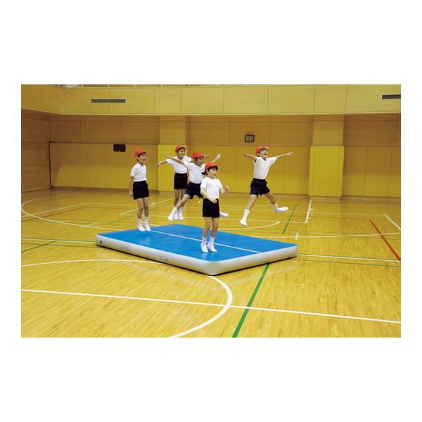 【法人限定】 EVERNEW エバニュー ETE211 エアートラックマット300 メーカー直送