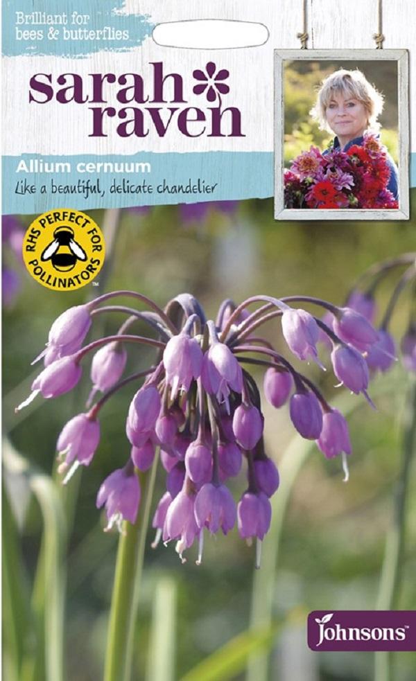【種子】Johnsons Seeds Sarah Raven Brilliant for Bees & Butterflies Allium ...
