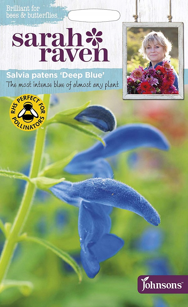 【種子】Johnsons Seeds Sarah Raven Brilliant for Bees & Butterflies Salvia ...