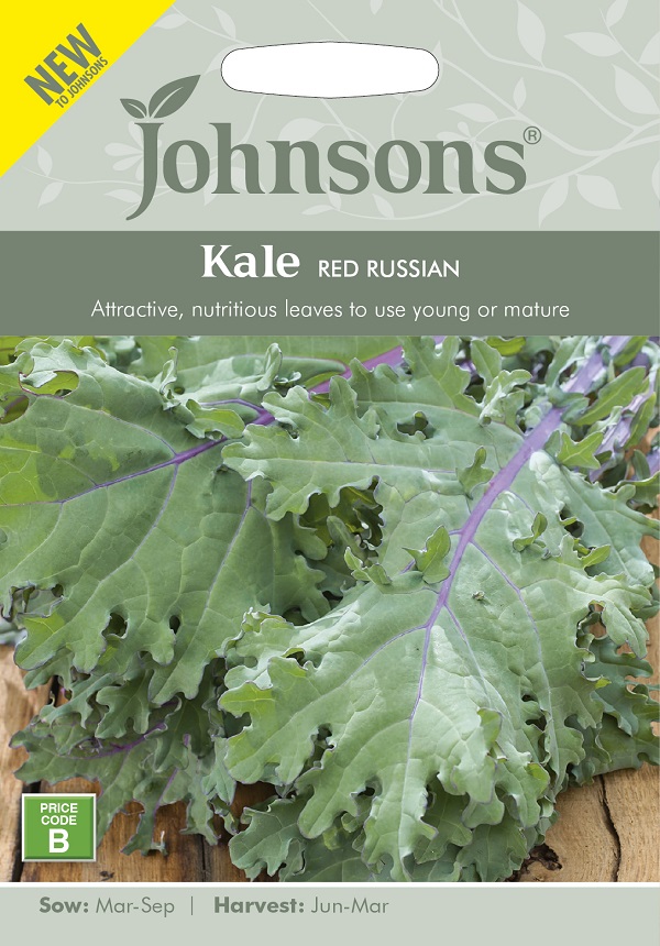 【種子】Johnsons Seeds Kale RED RUSSIAN ケール レッド・ロシアン ジョンソンズシードの通販はau PAY ...