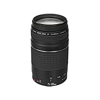 【中古品】Canon EFレンズ EF75-300mm F4-5.6 IIIズームレンズ 望遠 並行輸入品(中古品)