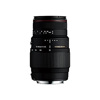 【中古品】SIGMA 望遠ズームレンズ APO 70-300mm F4-5.6 DG MACRO シグマ用 フルサイ (中古品)