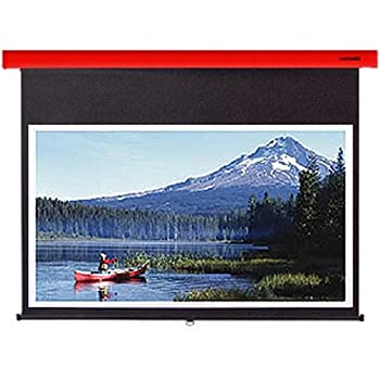 【未使用 中古品】キクチ科学研究所 カラーケース仕様スプリングローラースクリーン幕面ホワ (中古品)