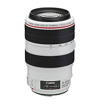 【未使用 中古品】Canon 望遠ズームレンズ EF70-300mm F4-5.6L IS USM フルサイズ対応(中古品)
