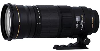 【中古品】シグマ APO 120-300mm F2.8 EX DG OS HSM NA ニコン用(中古品)