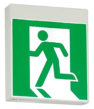 【新品】東芝 LED誘導灯(本体のみ) 天井・壁直付形 C級(10形) 片面灯 自己点検タイ (新品)