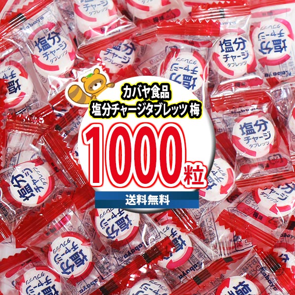 (地域限定送料無料) お菓子 詰め合わせ カバヤ食品 塩分チャージタブレッツ 梅味 1000粒 (4901550151708px1000k) 【大容量 小分け 大量 小袋 個包装 タブレット 業務用 まとめ買い 買い置き ストック お試し 差し入れ 塩分補給】