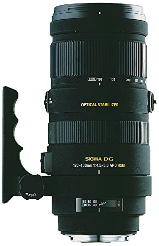 SIGMA 望遠ズームレンズ APO 120-400mm F4.5-5.6 DG OS HSM ニコン用 フル (中古品)