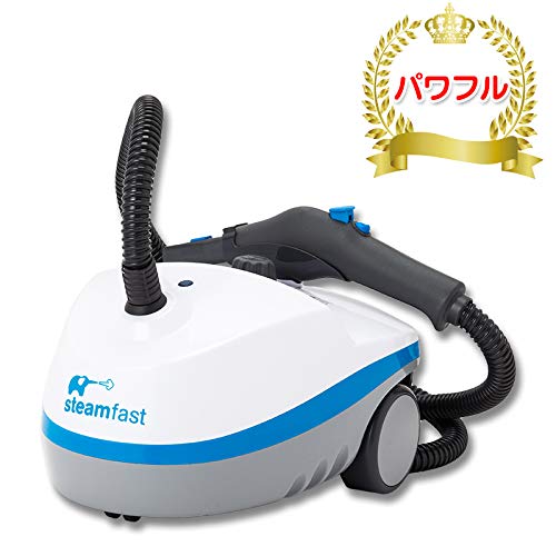 スチームファーストDX （期間限定）・スチーム (中古品)