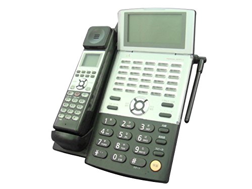 NYC-30iA-DHCL(D)(中古品)