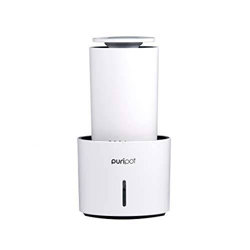 Puripot P1＋ 空気清浄機 小型 フィルターなし?自動モード 除菌 脱臭 花粉 (中古品)